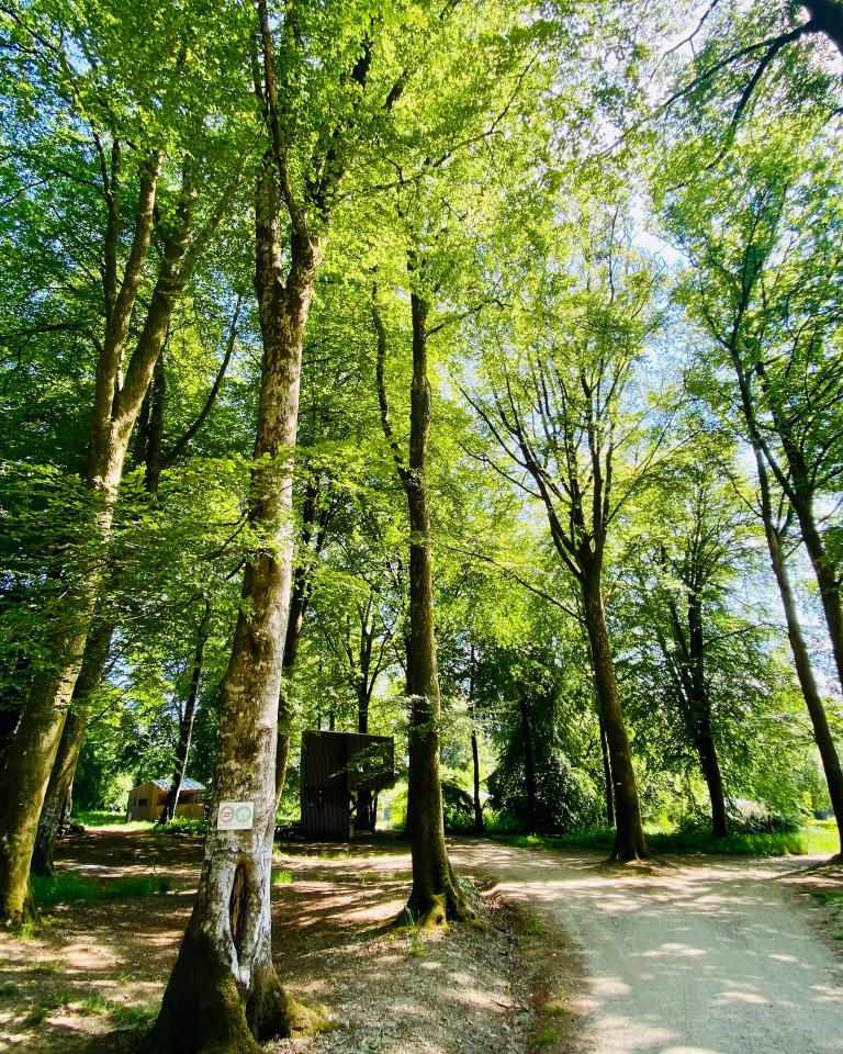 Étape en Forêt, locations insolites et loisirs nature sur un domaine de ...