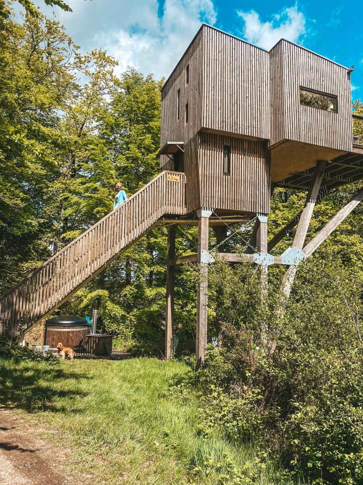 Étape en Forêt, locations insolites et loisirs nature sur un domaine de ...