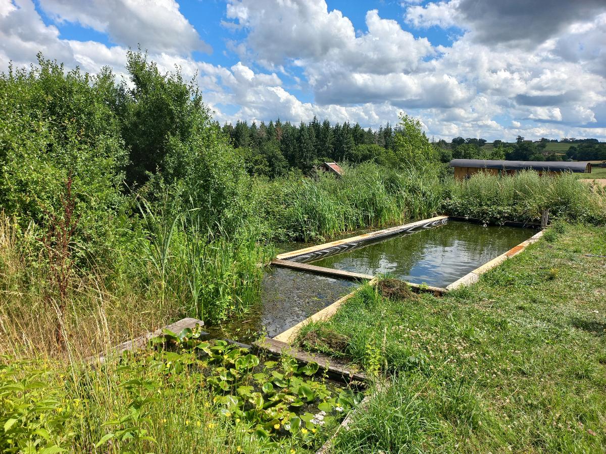 Les gîtes, roulotte et tentes de Brénazet - Gîte à Vernusse | GreenGo