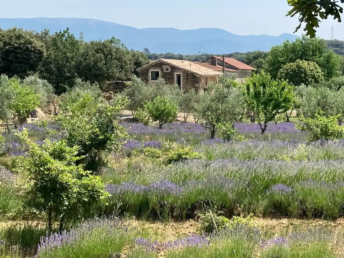 La grange des oliviers - Location à Taulignan | GreenGo