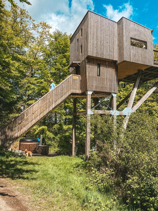 Étape en Forêt, locations insolites et loisirs nature sur un domaine de ...