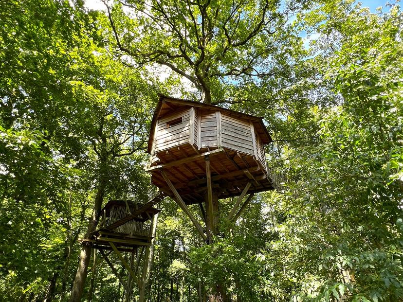 Cabanes des Grands Chênes - Coucoo Cabanes - Logement insolite à Raray ...