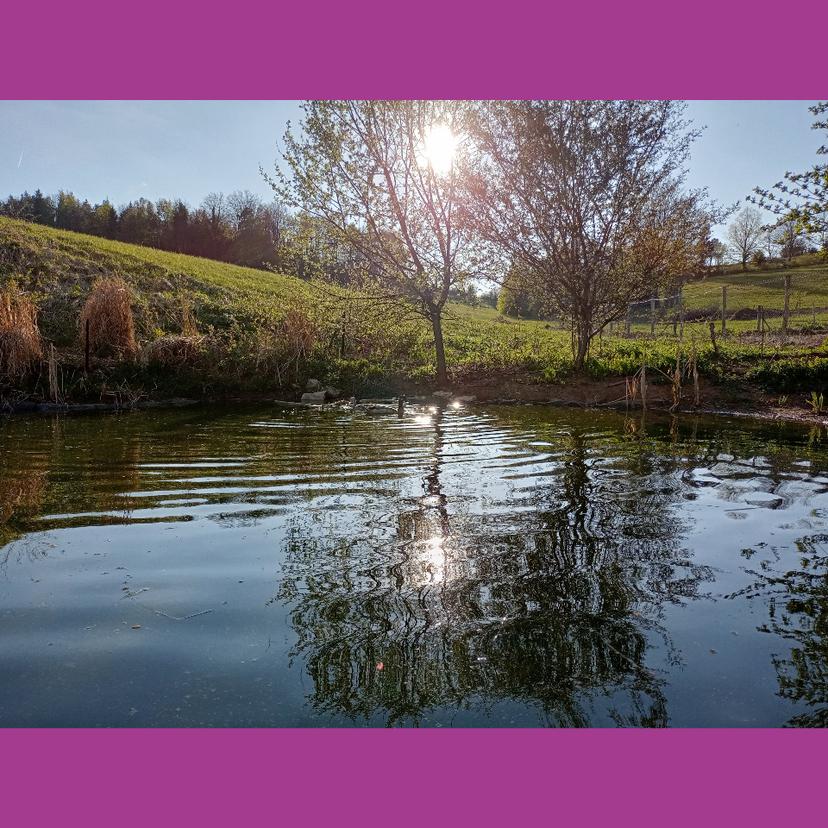 Le jardin des batraciens - Gîte à Apremont | GreenGo